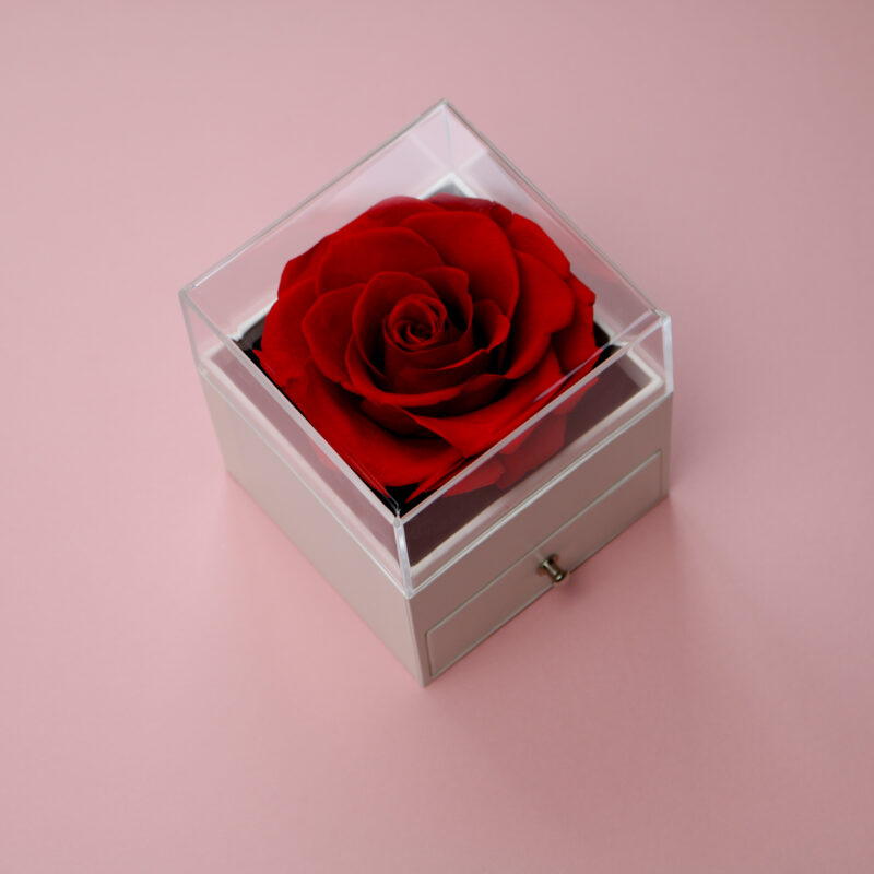 Forever Rose Jewellery Box – Rays Of Light